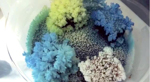 how to make a salt crystal garden | Fasci Garden